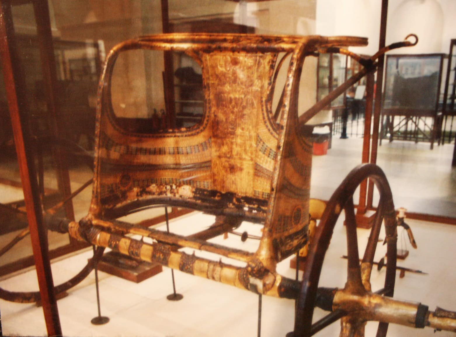 Nefertiti's Chariot - Judith Starkston